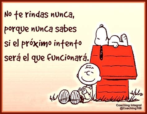No te rindas nunca porque nunca sabes si el próximo intento será el