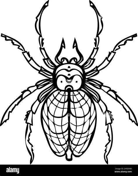 Ilustraciones de vectores de líneas realistas de araña Estilo de