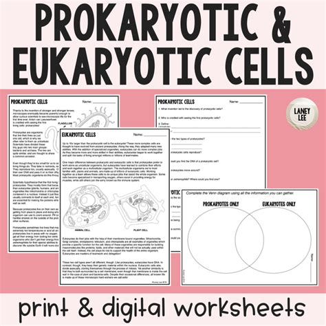 Cells Prokaryotic Vs Eukaryotic Worksheet Made By Teachers
