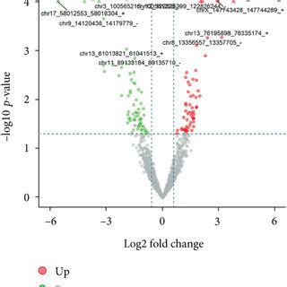 Differential Expression Profiles Of Circular Rnas Circrnas In Spinal