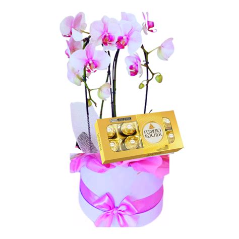 Orquídea Rosada Ferrero Innova Cestas e Flores