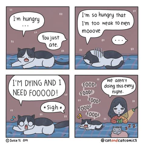 Cat And Cat Comics — Susie Yi