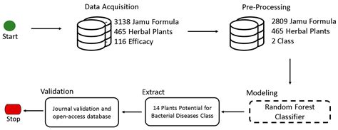 antibiotics free full text prediction of potential natural antibiotics plants based on jamu