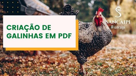 criação de galinha caipira pdf MANUAL DO CRIADOR INICIANTE DE