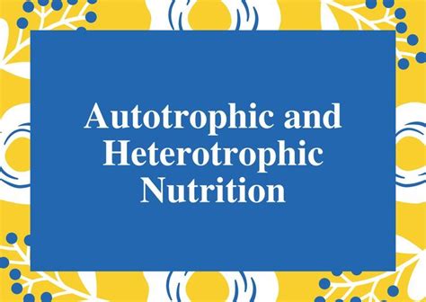 Distinguish Between Autotrophic And Heterotrophic Nutrition Nutrition