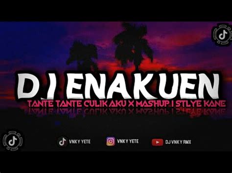 Dj Enakuen Tante Tante Culik Aku Dong X Mashup Mengkane Viral Tiktok