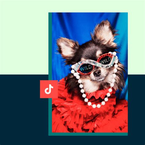 Cómo hacerse viral en TikTok los 11 mejores consejos