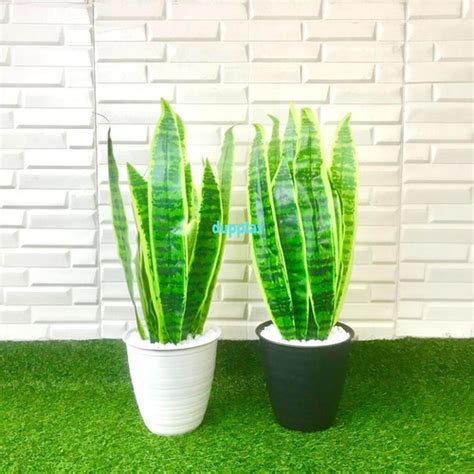 Jual Pohon Artificial Lidah Mertua Plastik Pot Tawon Pirus Dekorasi