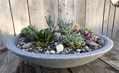 Planting A Succulent Display