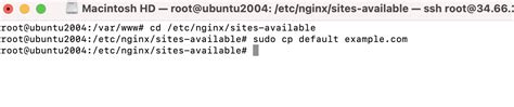 How To Install And Set Up Nginx As A Web Server On Ubuntu Server 2004 Devtutorial