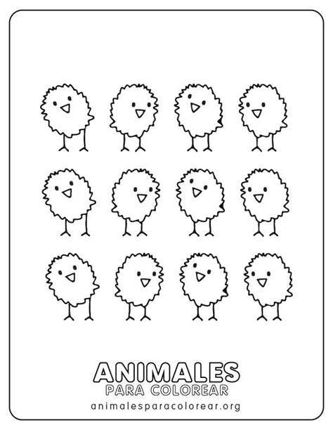 Pollitos Para Colorear Descargar E Imprimir Gratis