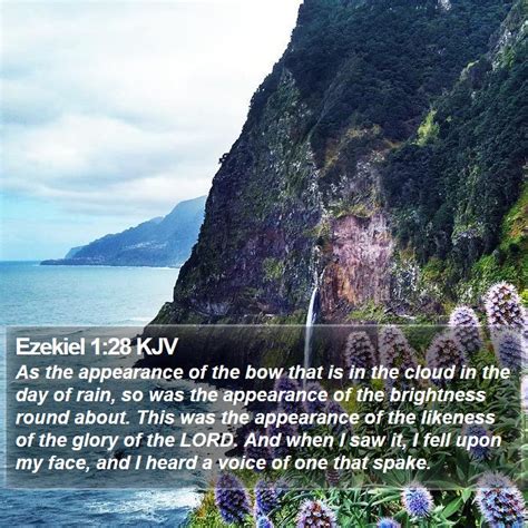 Ezekiel 1 Scripture Images Ezekiel Chapter 1 KJV Bible Verse Pictures