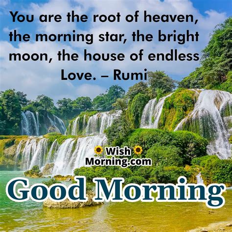 Incredible Compilation Of Over 999 Good Morning Images With Nature