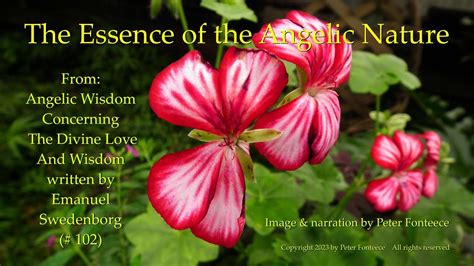 The Essence Of The Angelic Nature Youtube