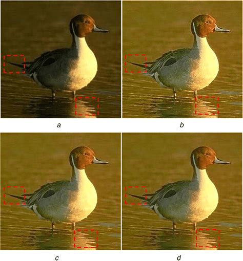 illustration of the selection of smoothing parameter a input image download scientific