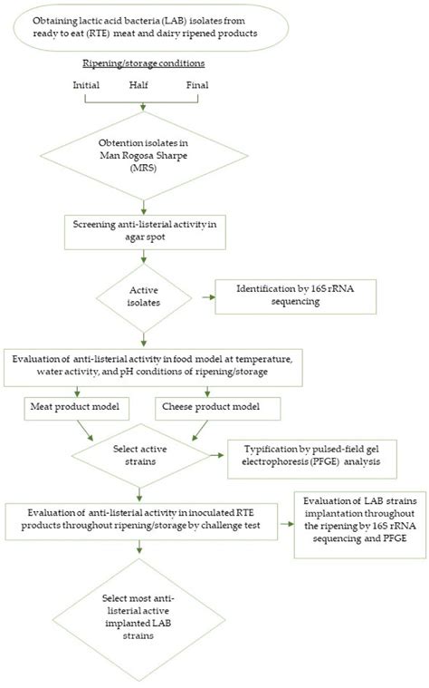 Diagrammatic Flowchart For The Isolation And Selection Of Lab Strains