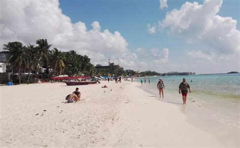 Sigue A La Baja El Arribo De Sargazo En Costas De Quintana Roo