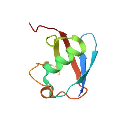 RCSB PDB 8TXV Cryo EM Structure Of The Human Nucleosome Core