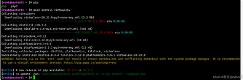python虚拟环境virtualenv安装保姆级教程 windows和linux python virtualenv csdn博客