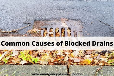 Most Common Causes Of Clogged Drains And How To Prevent Them