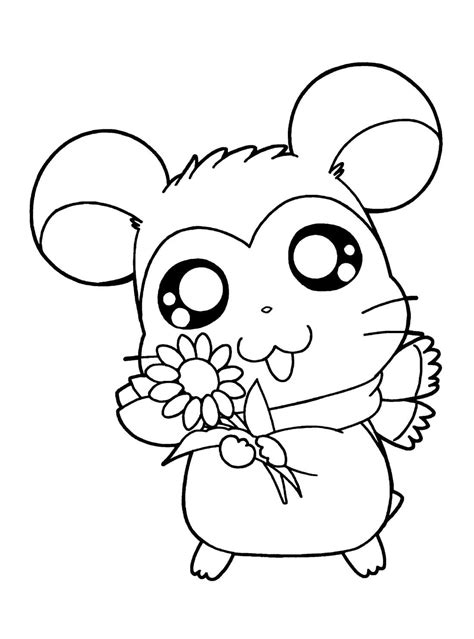 Desenhos De Hamster Para Colorir 100 Desenhos Para Colorir