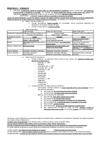 Resumen Practicas De Paleontologia Pdf
