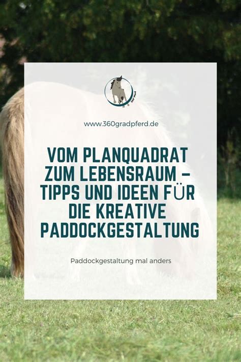 Kreative Paddockgestaltung Darauf Kommt Es An Https Gradpferd De