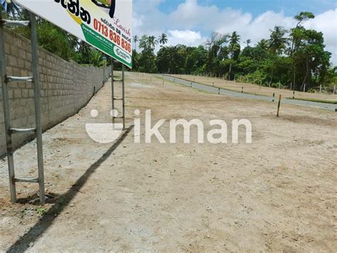 Ikman