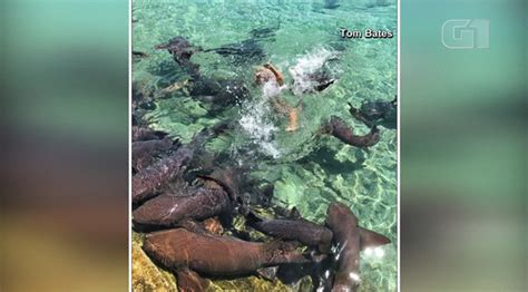 Tubar O Morde Bra O De Modelo De Instagram Nas Bahamas Veja V Deo