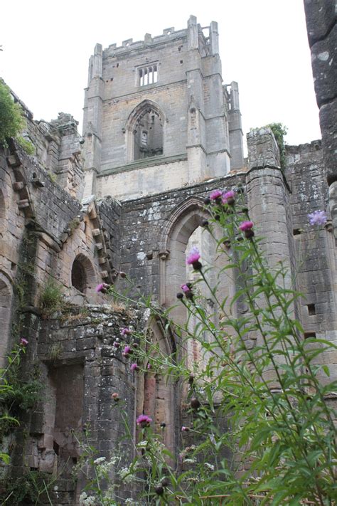 喷泉修道院 约克郡 英国 Cistercian Pixabay上的免费照片 Pixabay