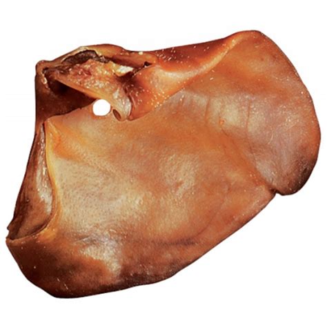 Oreille De Porc Pour Chien Zolux