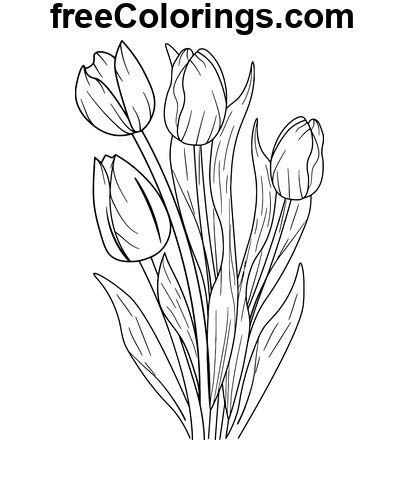 Fantastiska realistiska tulpaner blommor Gratis utskrivbara målarbok
