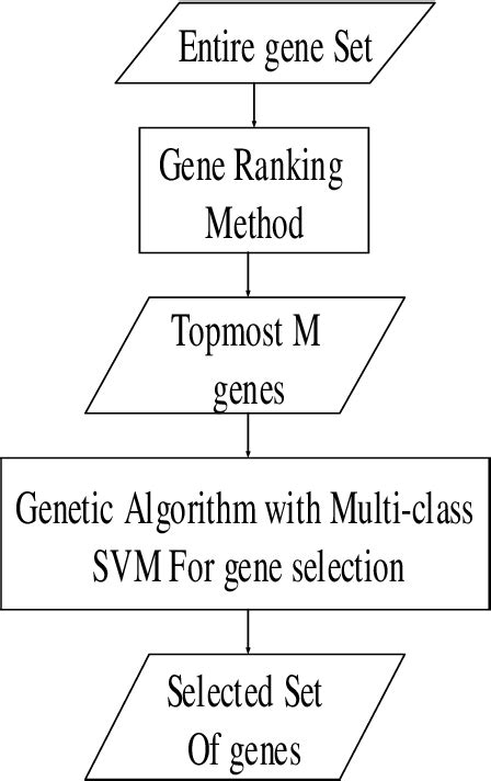 figure 1 from a hybrid approach for selection of relevant features for microarray datasets