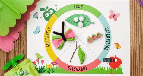 Butterfly Life Cycle Craft