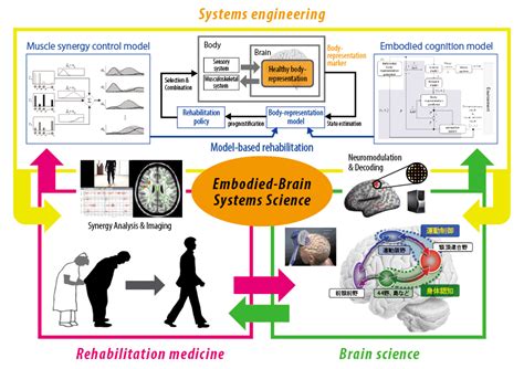 outline embodied brain systems science