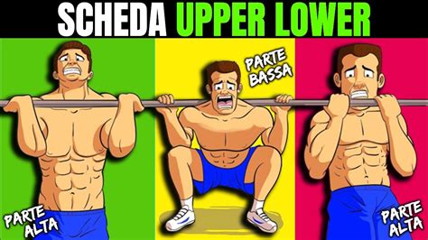 Upper Lower Per La Massa Muscolare Ecco Come Creare Una Scheda Youtube