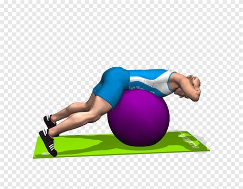 Exercise Balls Esercizi Multiarticolari Pilates Latissimus Dorsi Muscle