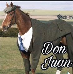 Las Mejores Ideas De Juan Meme Memes De Juan Im Genes