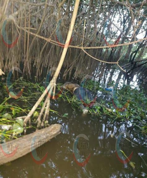Hallan dos cuerpos sin vida en los límites de Tabasco y Veracruz AlertaMx