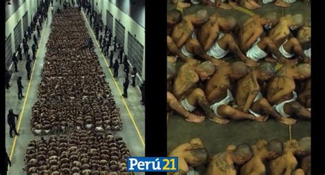 Nayib Bukele Muestra El Impresionante Traslado De 2000 Presos A Nueva