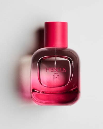 10 Best Zara Perfumes For Women 2022 Update Viora London