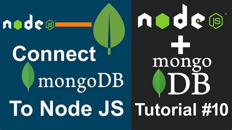 MongoDB Tutorial 10 How To Connect MongoDB To Node JS And Select