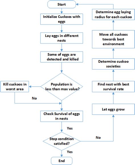 basic working flow of cuckoo algorithm download scientific diagram