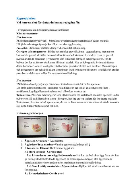 Fysiologikompendium Reproduktion Reproduktion Vid Kursens Slut