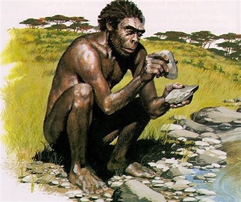 CLUB CIENCIAS DE LA NATURALEZA LA EVOLUCIÓN DEL HOMBRE