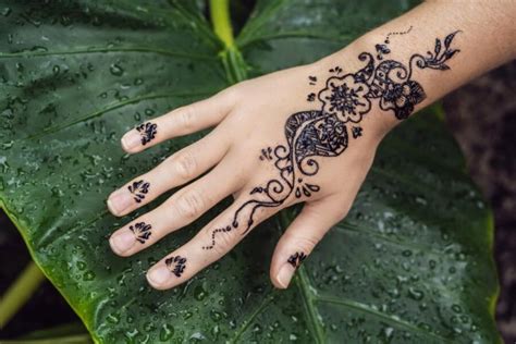 Henna Lotus Flower Meaning Best Flower Site