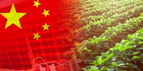 Importaciones de China de soja caen a su nivel más bajo desde 2020