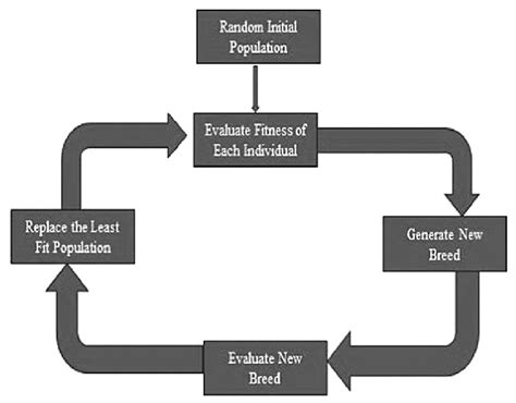 1 steps in a typical evolutionary approach for optimization download scientific diagram