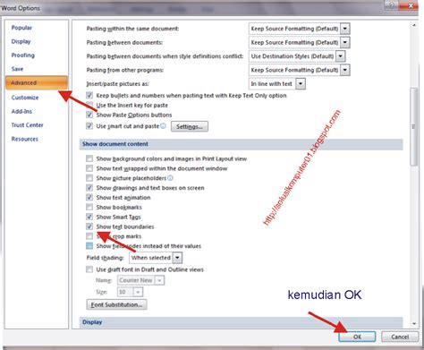 Cara Menampilkan Text Boundaries Di Microsoft Word 2007