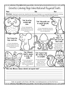 Inherited And Acquired Traits Worksheet
